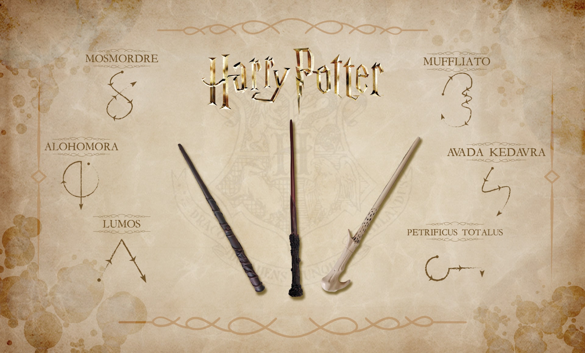 Cuáles son todos los hechizos de Harry Potter y su significado